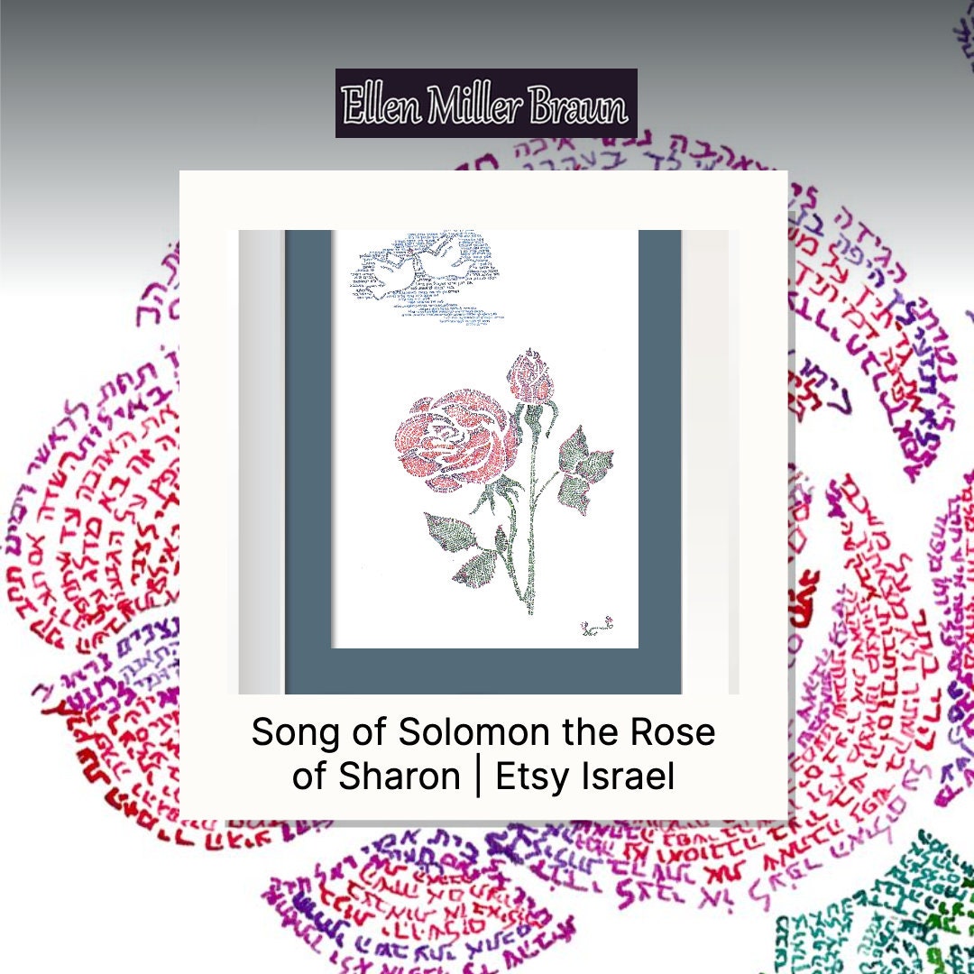 Song of Solomon the Rose of Sharon - Etsy Israel