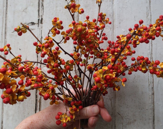 Petite Bunch of Real Bittersweet Berry Stems, Fall Autumn Bouquet, All ...