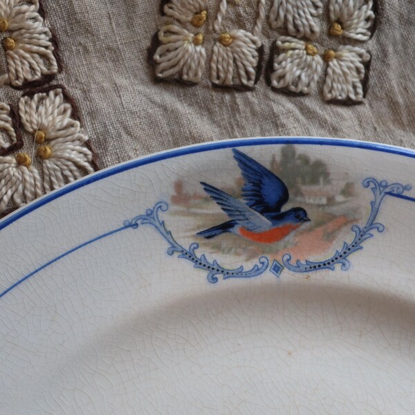 Bluebird Plate - Etsy