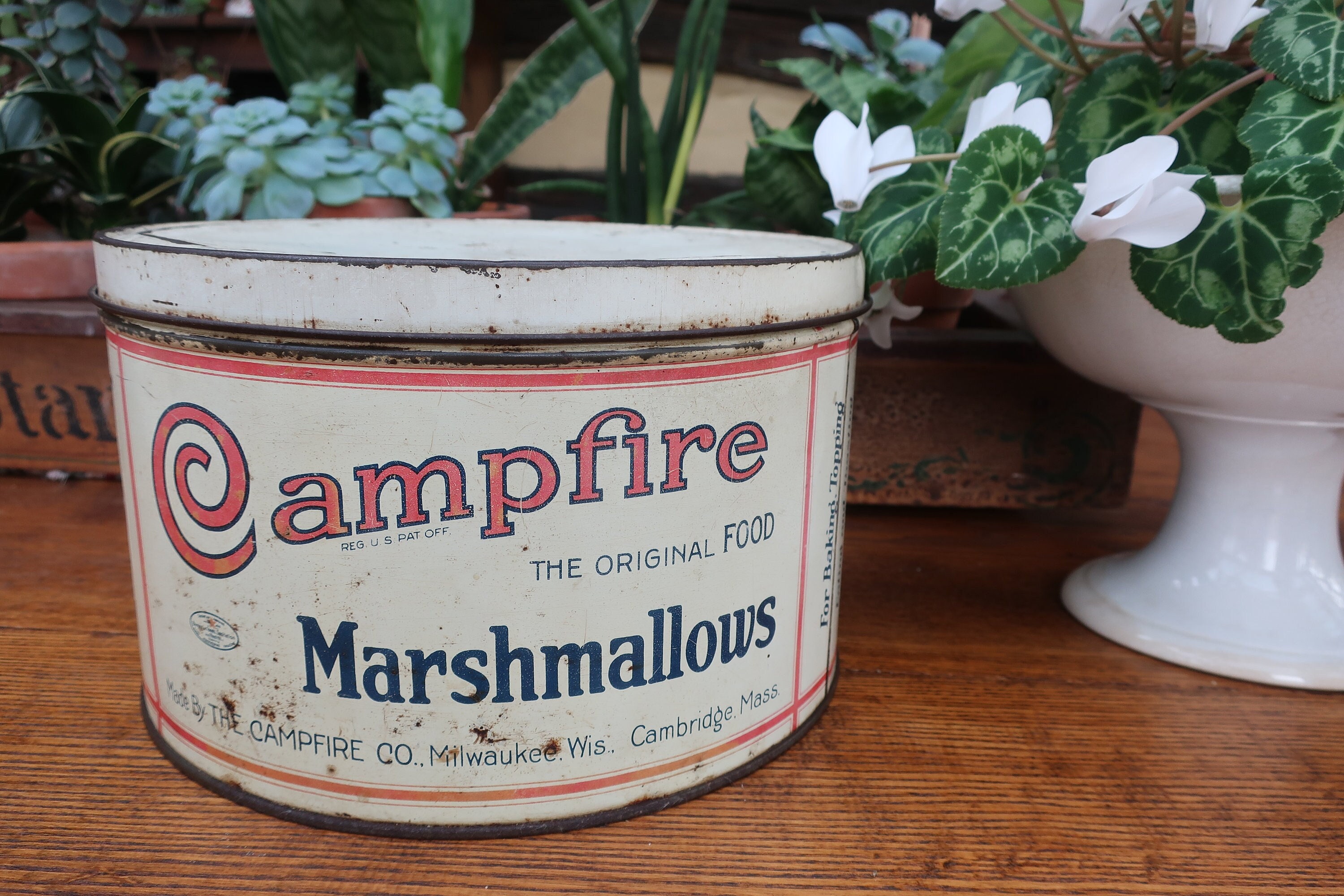 Campfire Marshmallows Vintage