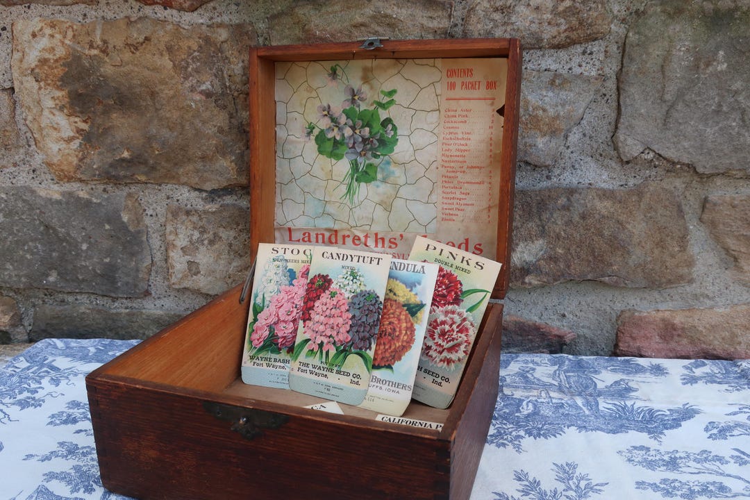Antique Seed Box Dovetailed General Store Display Gardener Gift ...