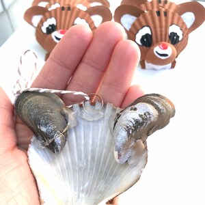 One Seashell Rudolph the Red Nosed Reindeer Ornament. Rudolph Ornament ...