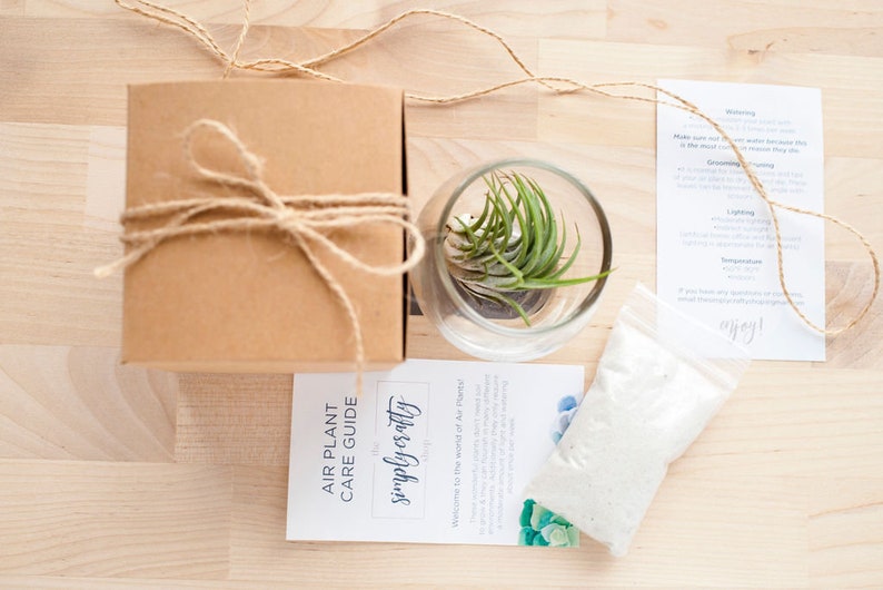 Mini Sand Terrarium Kit With Tillandsia Air Plant - Etsy