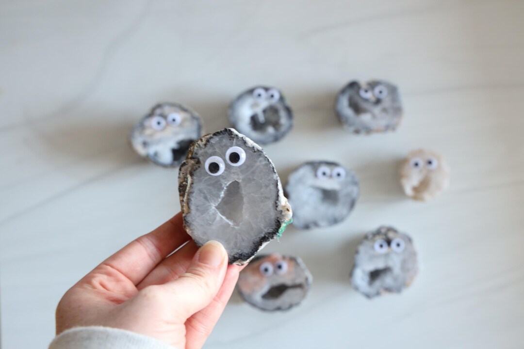 Geode Rock Monster | Funny Pet Rock | Geode Rock With Googly Eyes ...