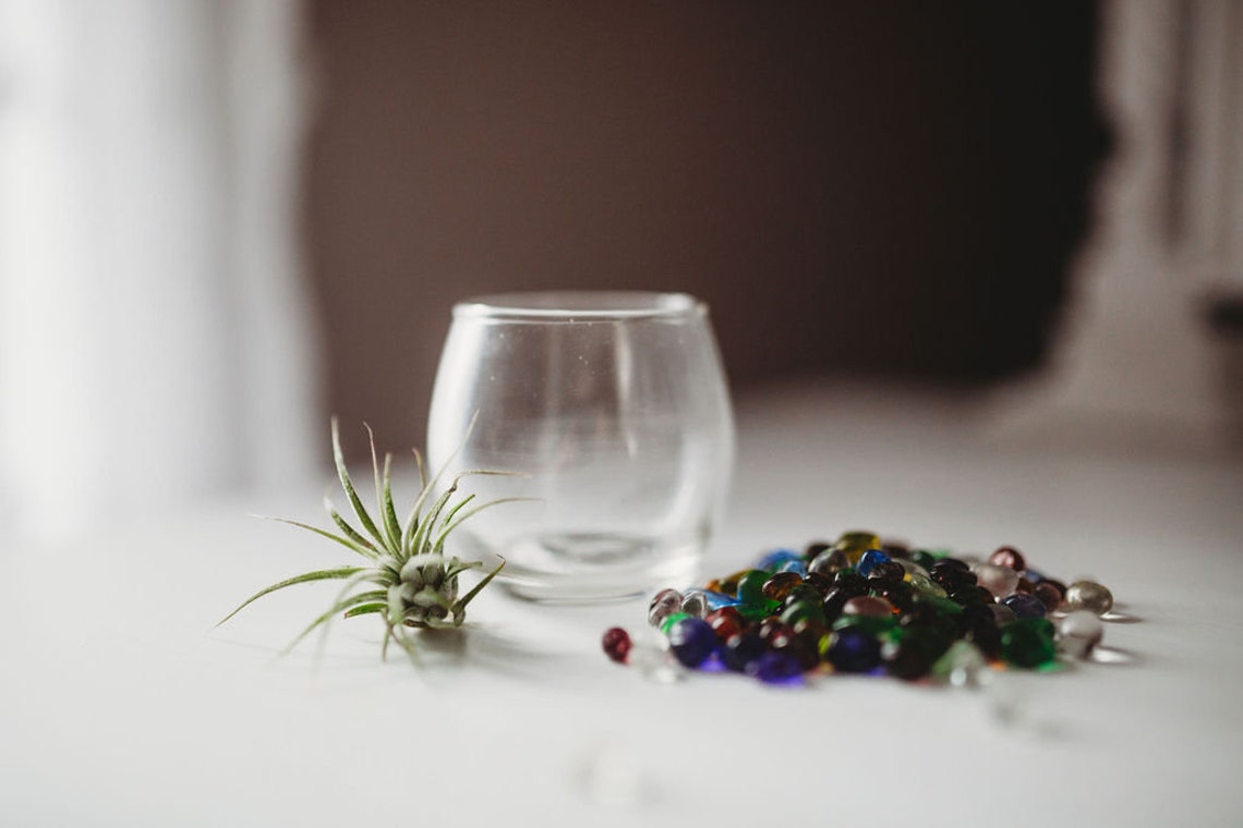 Mini Multi-color Glass Terrarium Kit With Tillandsia Air Plant - Etsy