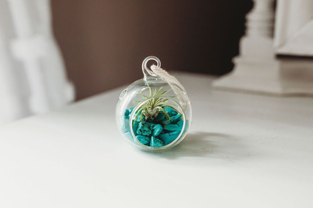Howlite Turquoise Mini Orb Air Plant Terrarium Kit | Unique Decor | DIY ...