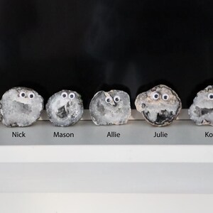 Geode Rock Monster | Funny Pet Rock | Geode Rock With Googly Eyes ...