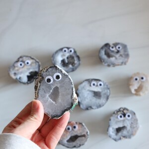 Geode Rock Monster | Funny Pet Rock | Geode Rock With Googly Eyes ...
