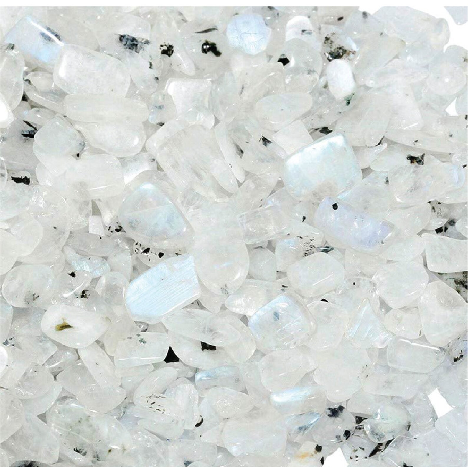 Mini Moonstone Terrarium Kit - Etsy