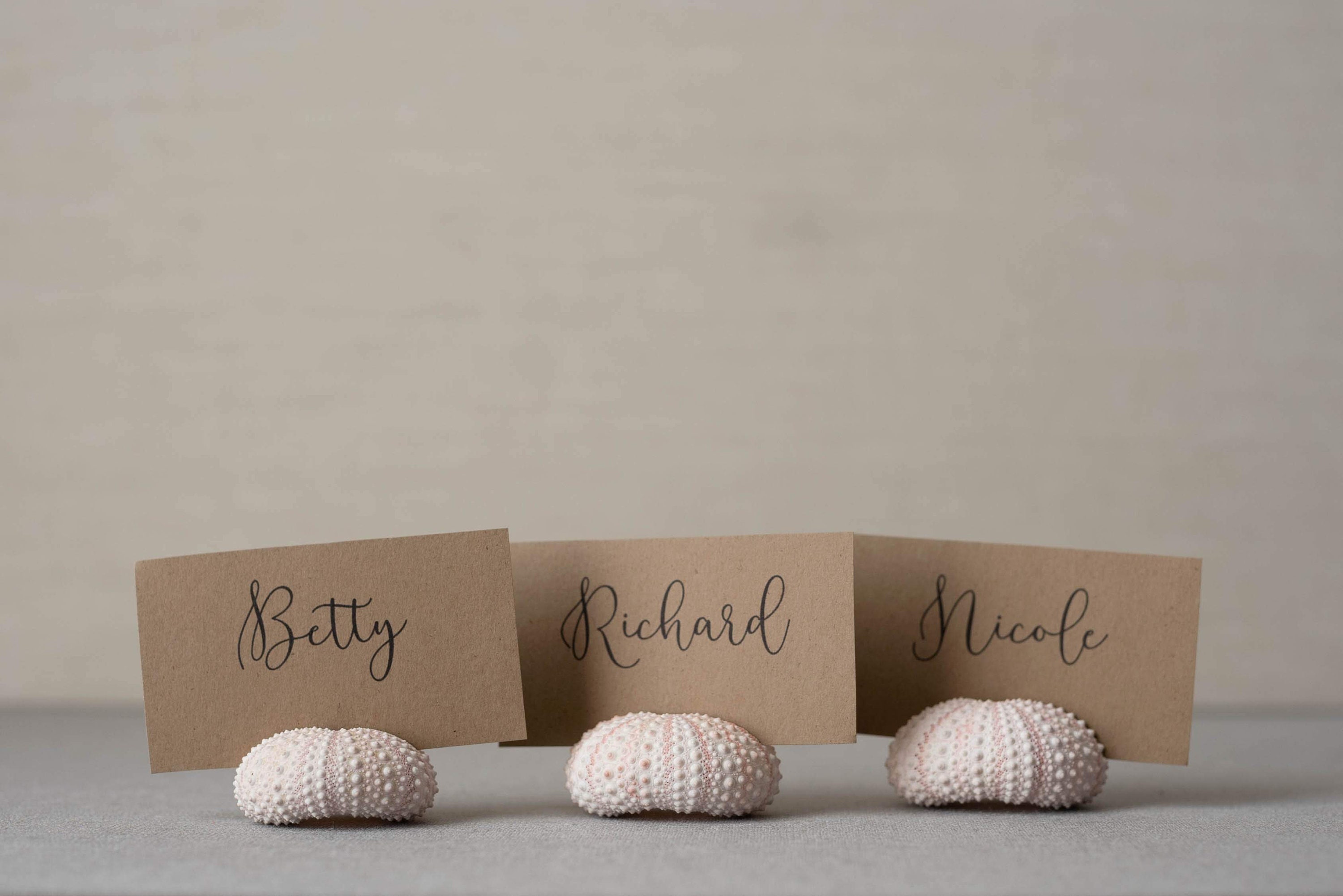 Set of 10 Pink Sea Urchin Shell Place Card Holders Beach | Etsy