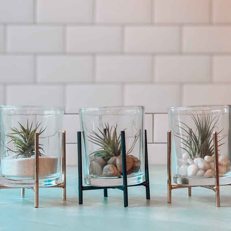 Terrarium Stand - Etsy