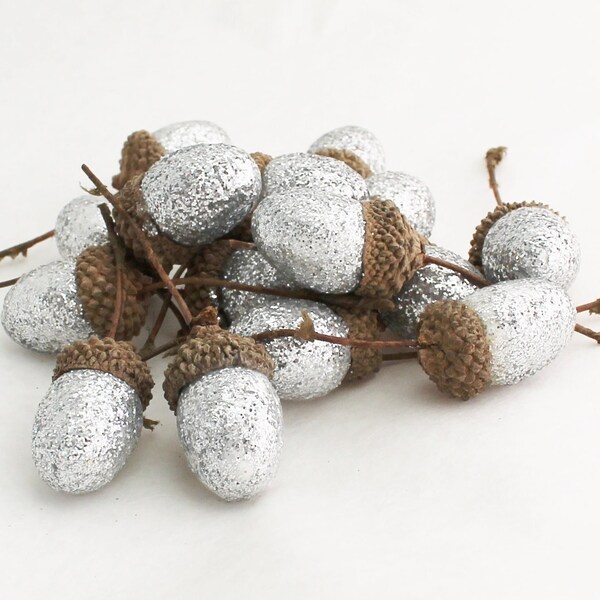 Mini Acorns - Etsy