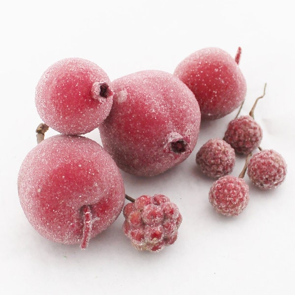 Sugared Fruit - Etsy