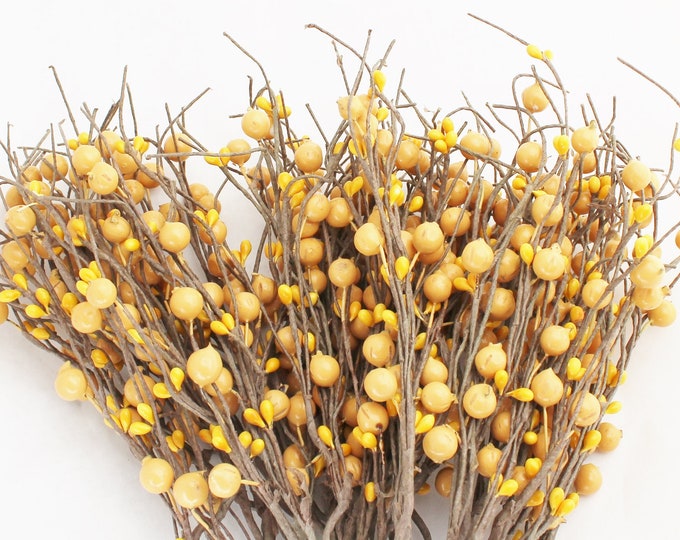 2 Mustard Yellow Pip Berry Picks | DIY Fall Decor | Fall Picks ...