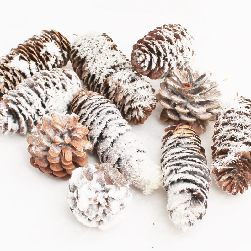 Frosted Pine Cones - Etsy