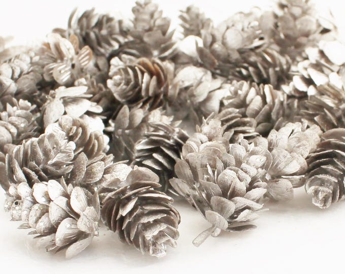 8 Silver Pine Cones | Small Artificial Pine Cones for Crafts | Fake ...