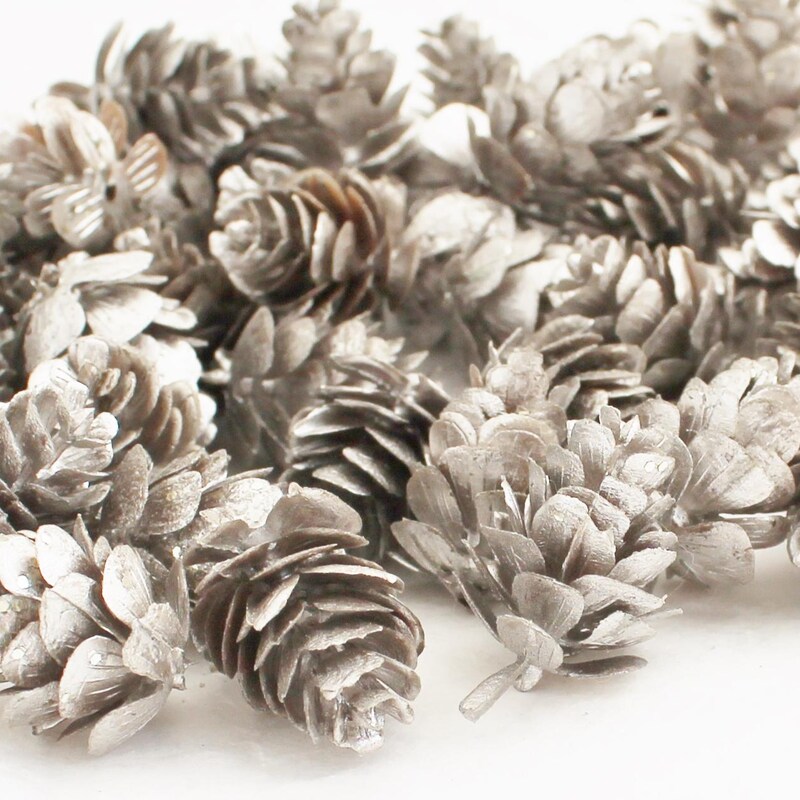 Glitter Mini Pine Cones - Etsy