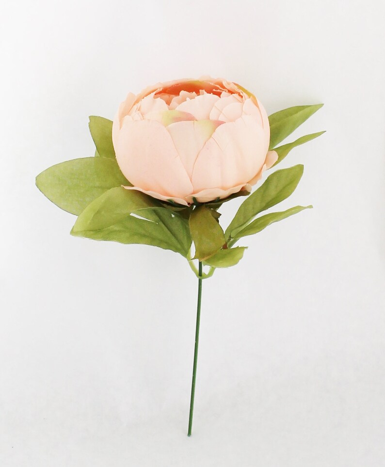 ONE Peach Peony Stem Wedding Peony DIY Bouquet Filler - Etsy