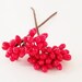 Red Pip Berry Picks | Pip Berries | Flower Crown | Millinery Berries ...