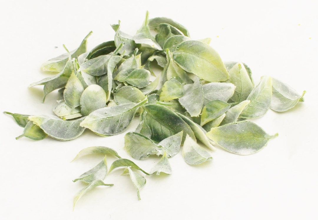 Fake Lamb's Ear Leaves | Artificial Lamb's Ear | Fake Leaves for Crowns ...