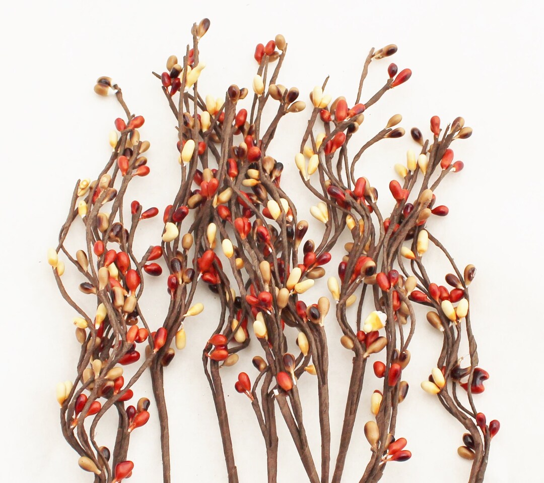 TWO As-is Fall Pip Berry Sprays | Fall Pip Berries | Autumn Decor | DIY ...