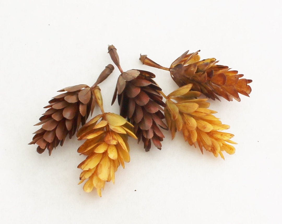 5 Fall Hops | Brown Yellow Hops | Autumn Flowers | Artificial Hops ...
