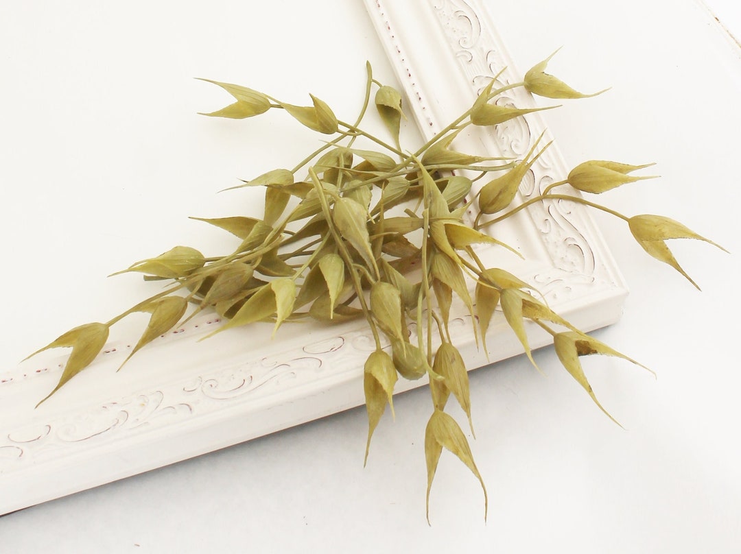 Fake Wheat Picks | Green Wheat Sprays | Artificial Wheat | Fall Floral ...