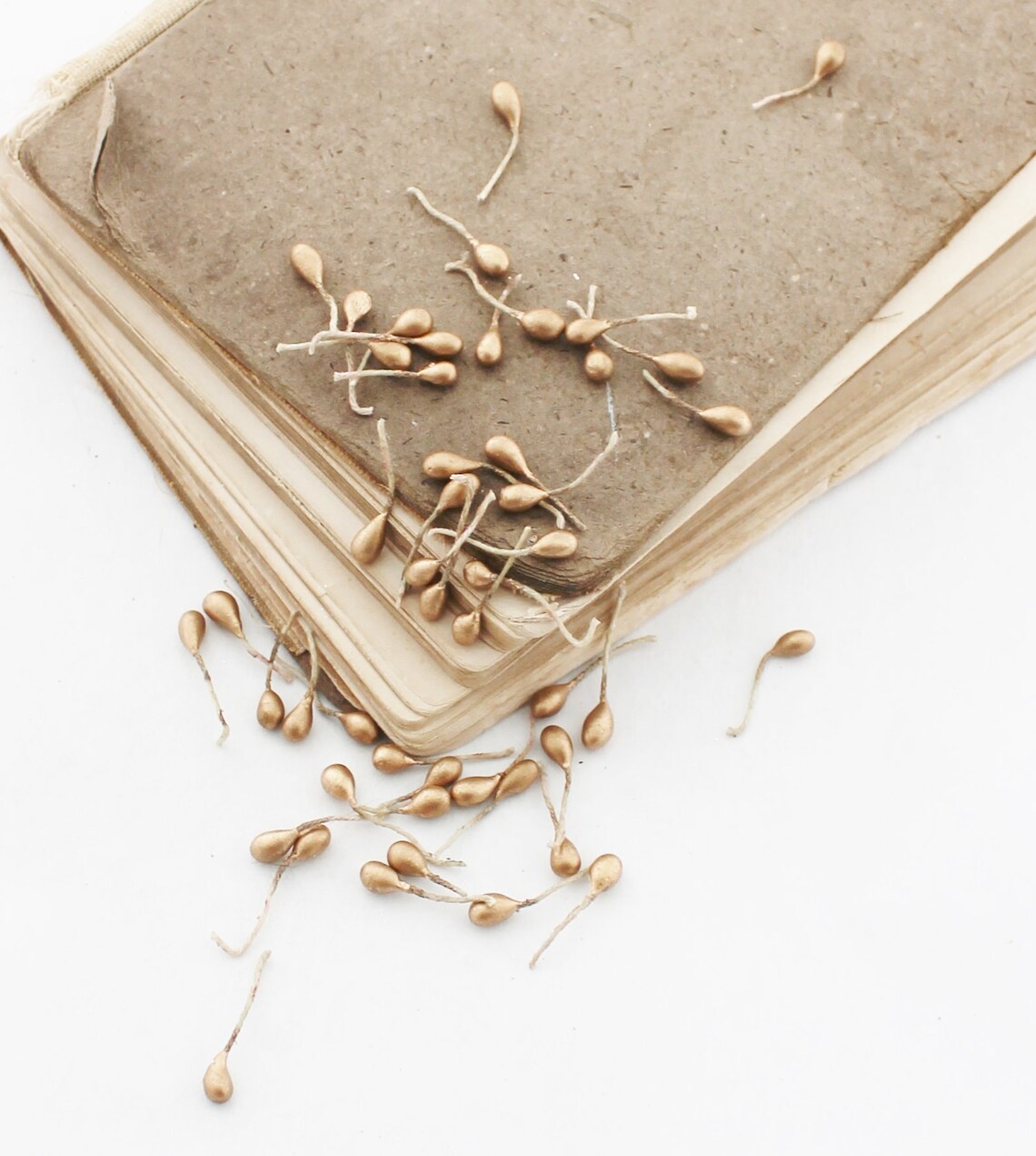 50 Gold Pip Berries As-is Single Pip Berry Flower Stamen - Etsy