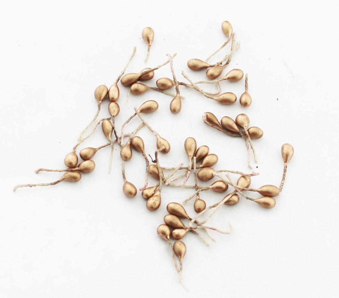 50 Gold Pip Berries As-is Single Pip Berry Flower Stamen - Etsy