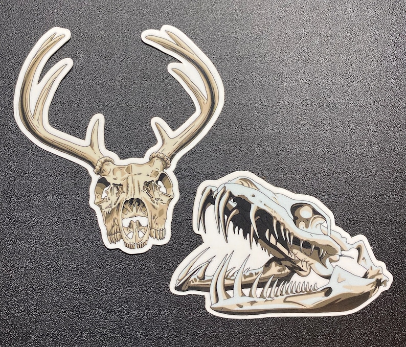 Animal Skulls Sticker Set - Etsy