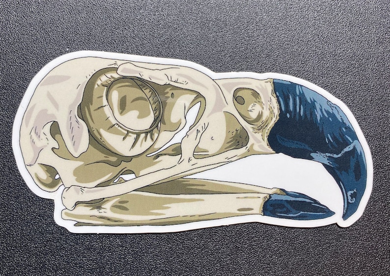 Animal Skulls Sticker Set - Etsy