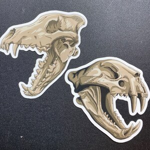 Animal Skulls Sticker Set - Etsy
