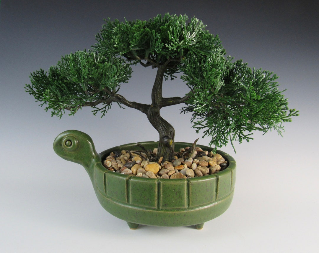 Bonsai Planter - Bonsai Pot - Turtle Bonsai Pot - Handmade Bonsai Pot ...