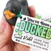 St Patrick's Day You’ve Been Ducked - Duck Tags - Ducking Tags - Tags ...