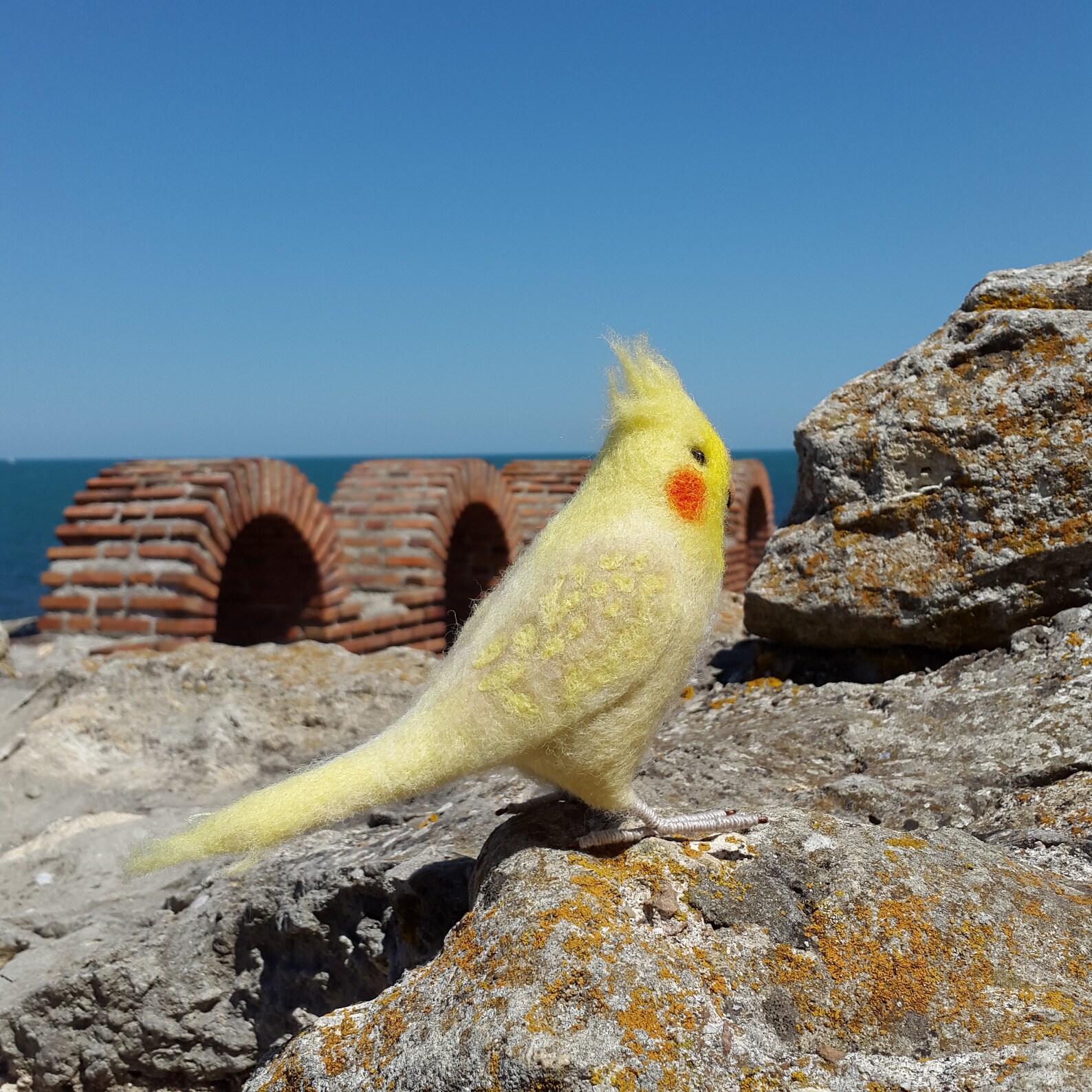 Parrot Cockatiel Needle Felted Birds Felted Birds Felted - Etsy