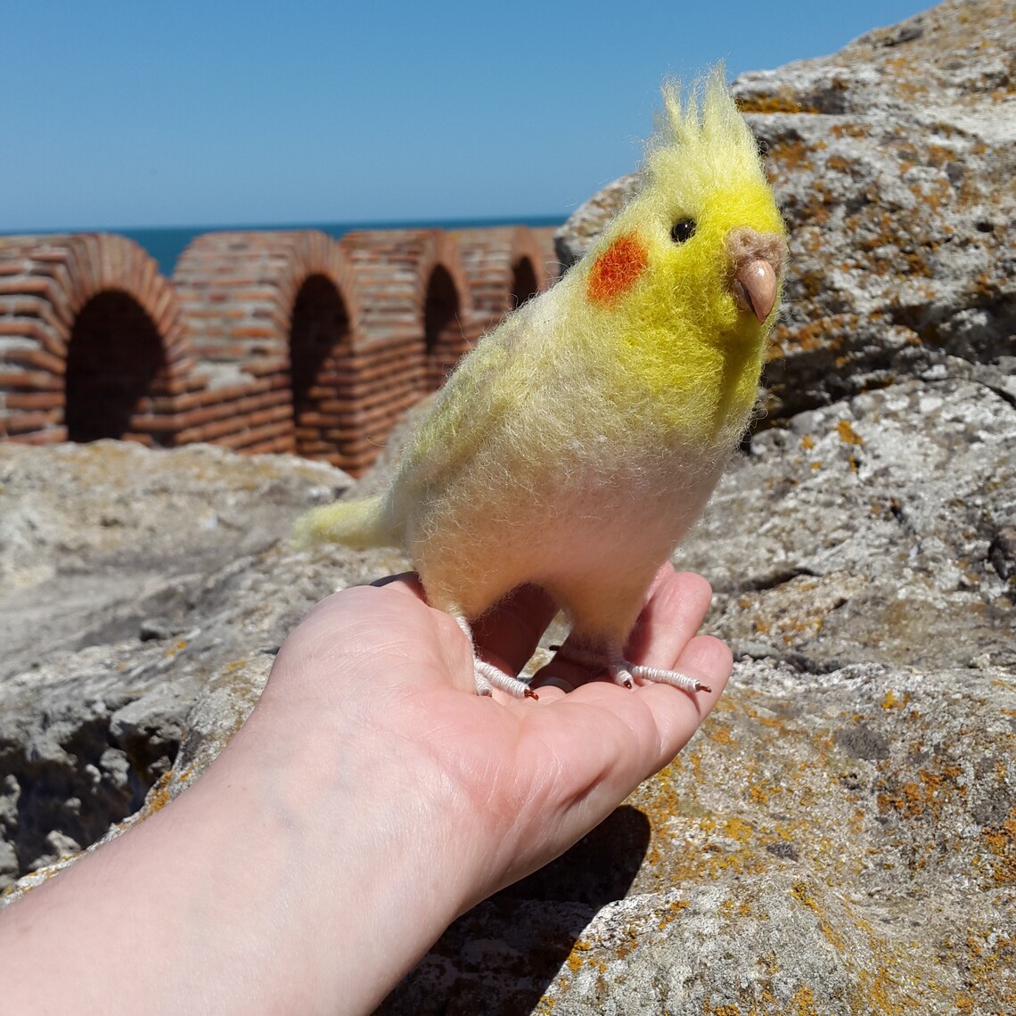 Parrot Cockatiel Needle Felted Birds Felted Birds Felted - Etsy