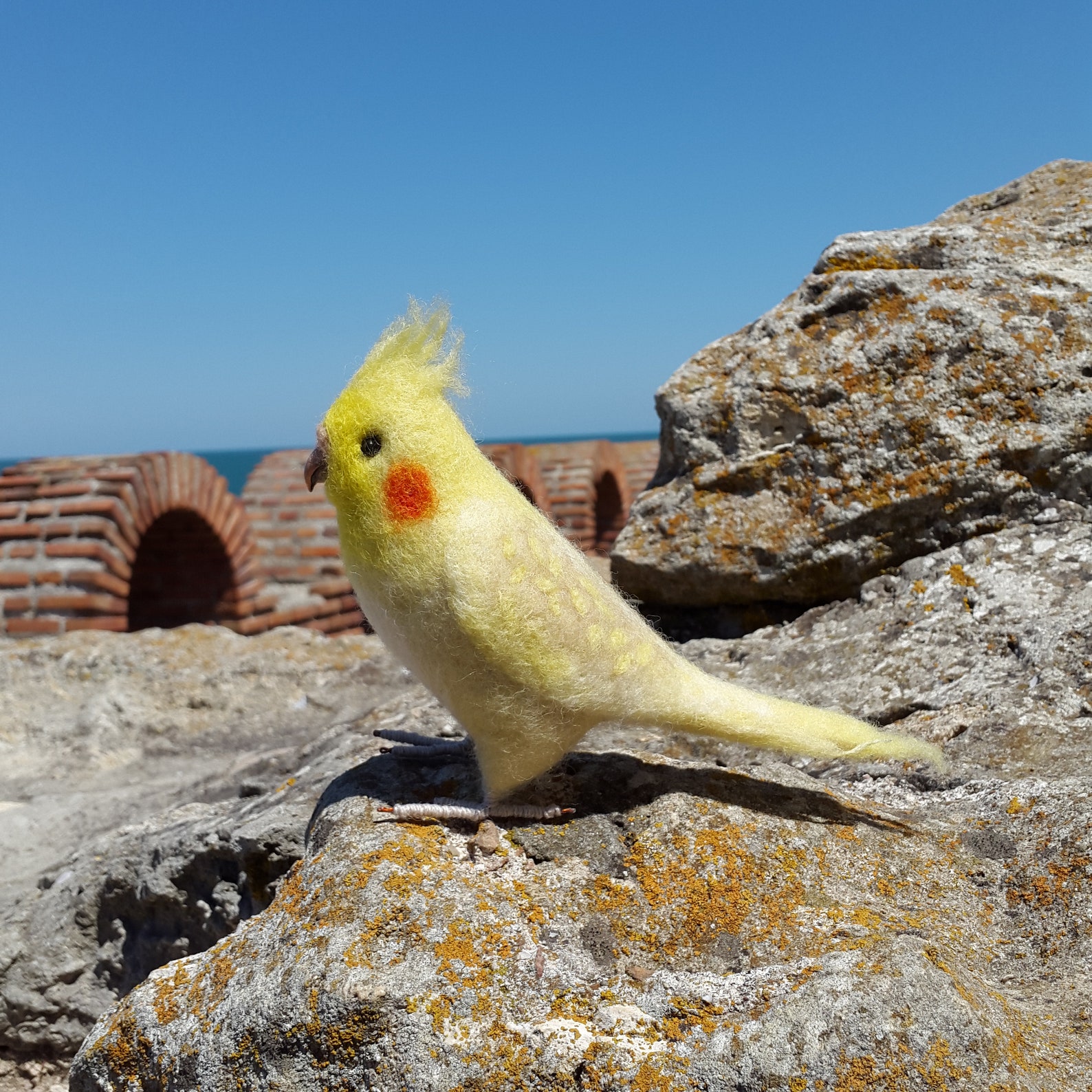 Parrot Cockatiel Needle Felted Birds Felted Birds Felted - Etsy