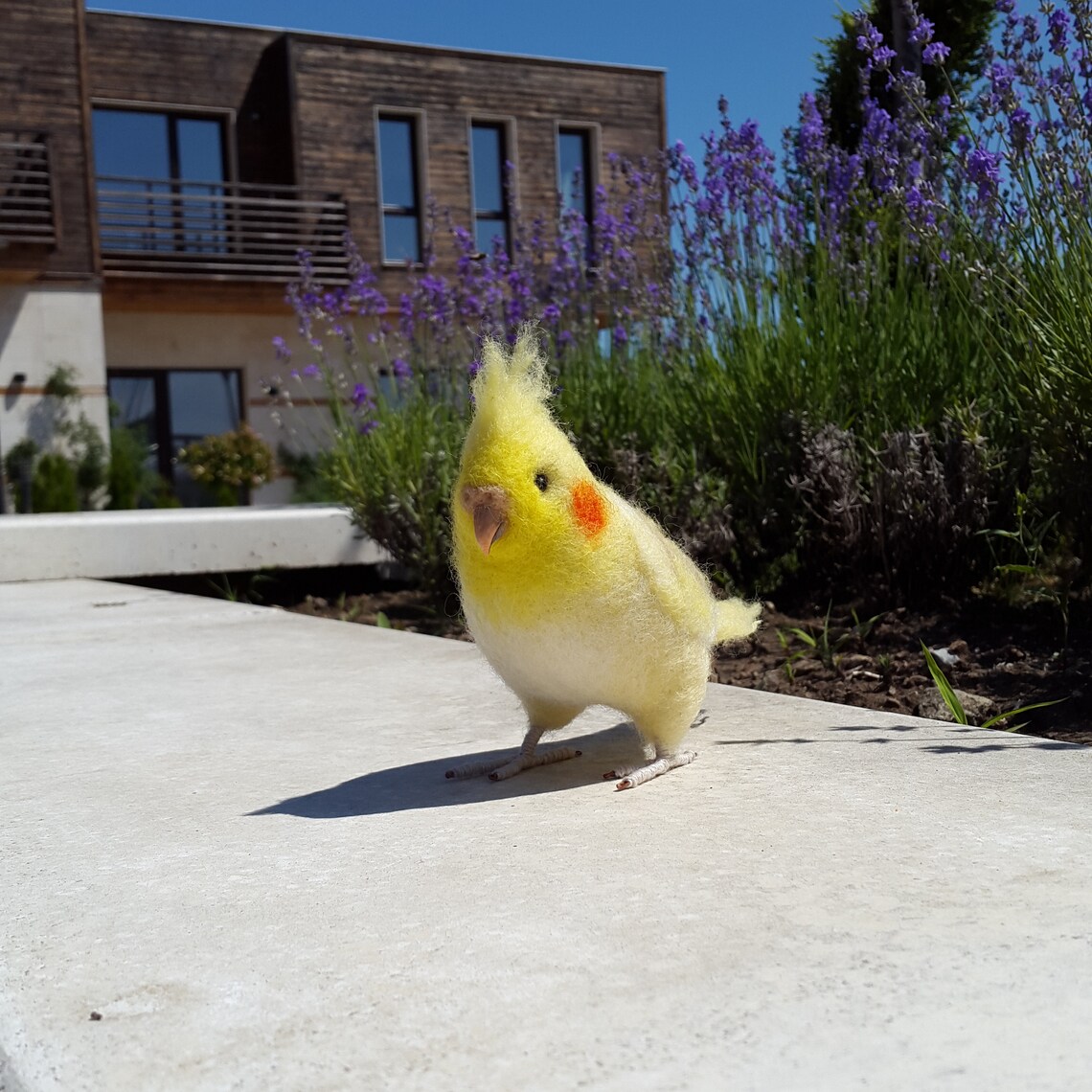 Parrot Cockatiel Needle Felted Birds Felted Birds Felted - Etsy