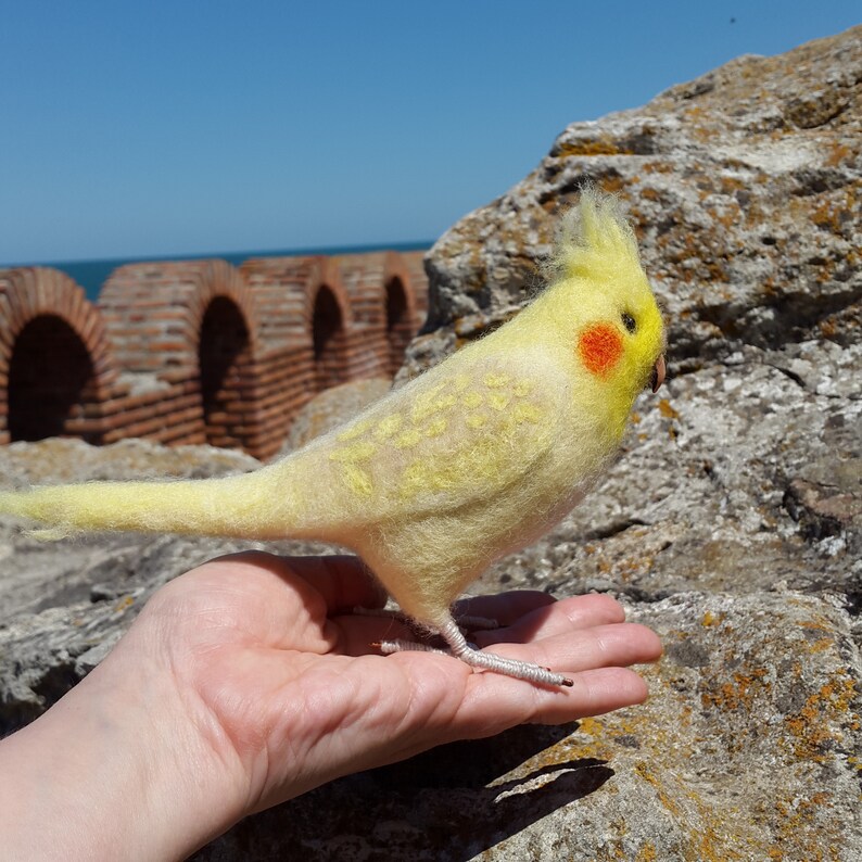 Parrot Cockatiel Needle Felted Birds Felted Birds Felted - Etsy