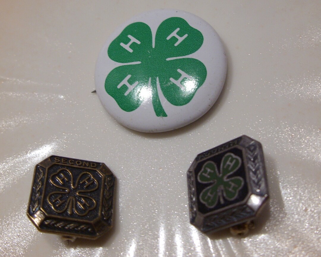 Bronze Enamel Sterling Silver 4 H Pinsgroup of Three, Second Year ...