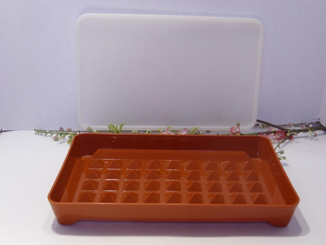 Tupperware Hot Dog Deli Keeper Container Vintage Tupperware Storage ...