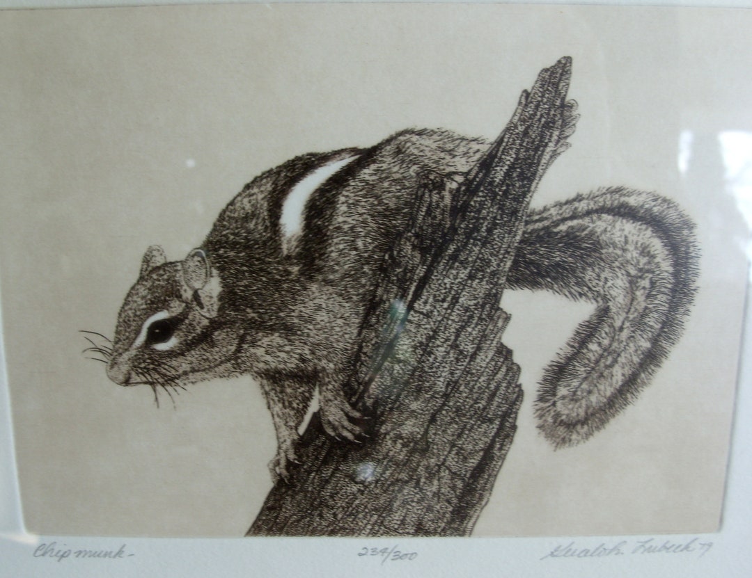 Gerald Lubeck Chipmunk Etching: Signed, Numbered, Framed Realism Art - Etsy