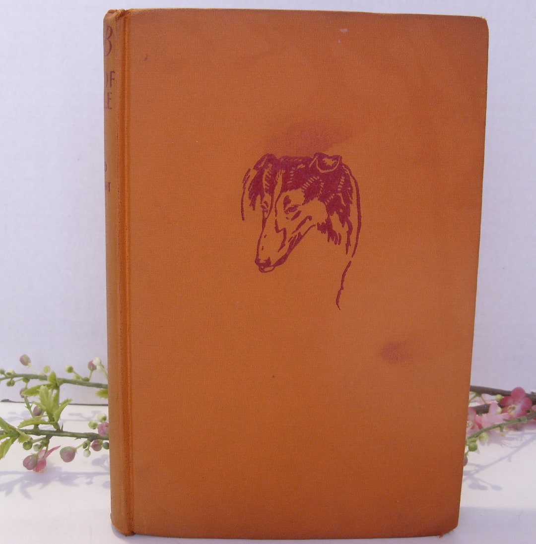 Bob Son of Battle: Antique Dog Fiction Book, 1898 Edition - Etsy