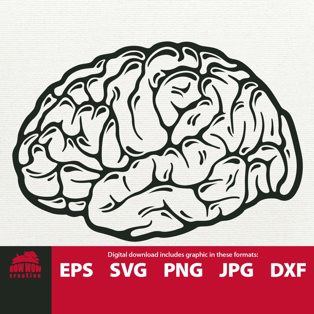 Human Brain Svg Brain Clipart Clip Art Brain Illustration Brain Cutting ...