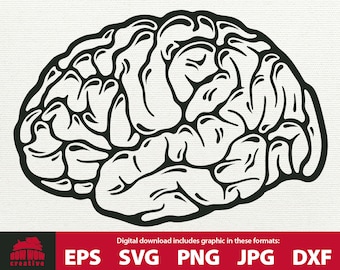 Brain Svg Svg Files for Cricut Brain Vector Medicine - Etsy