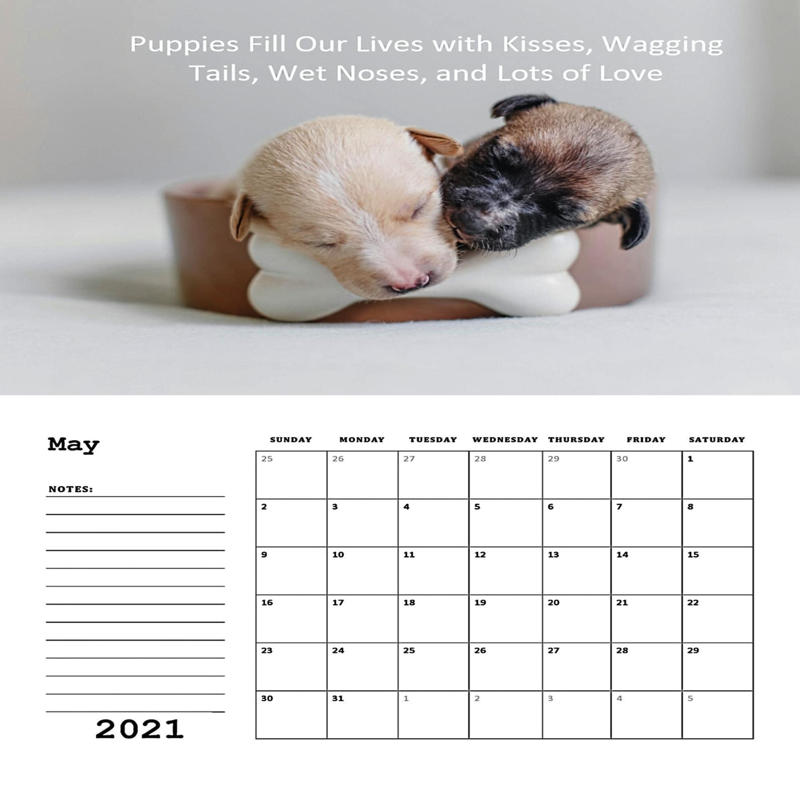 Printable 2021 Wall Photo Calendar Puppy Themed Instant | Etsy