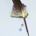 Goose Feather Quill Dip Pen Calligraphy SCA Journaling Love Letters Art ...