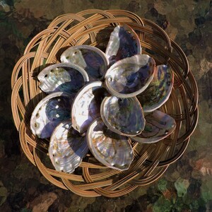 Smudge Kit Smudging Abalone Shell House Blessing Cleansing Housewarming ...