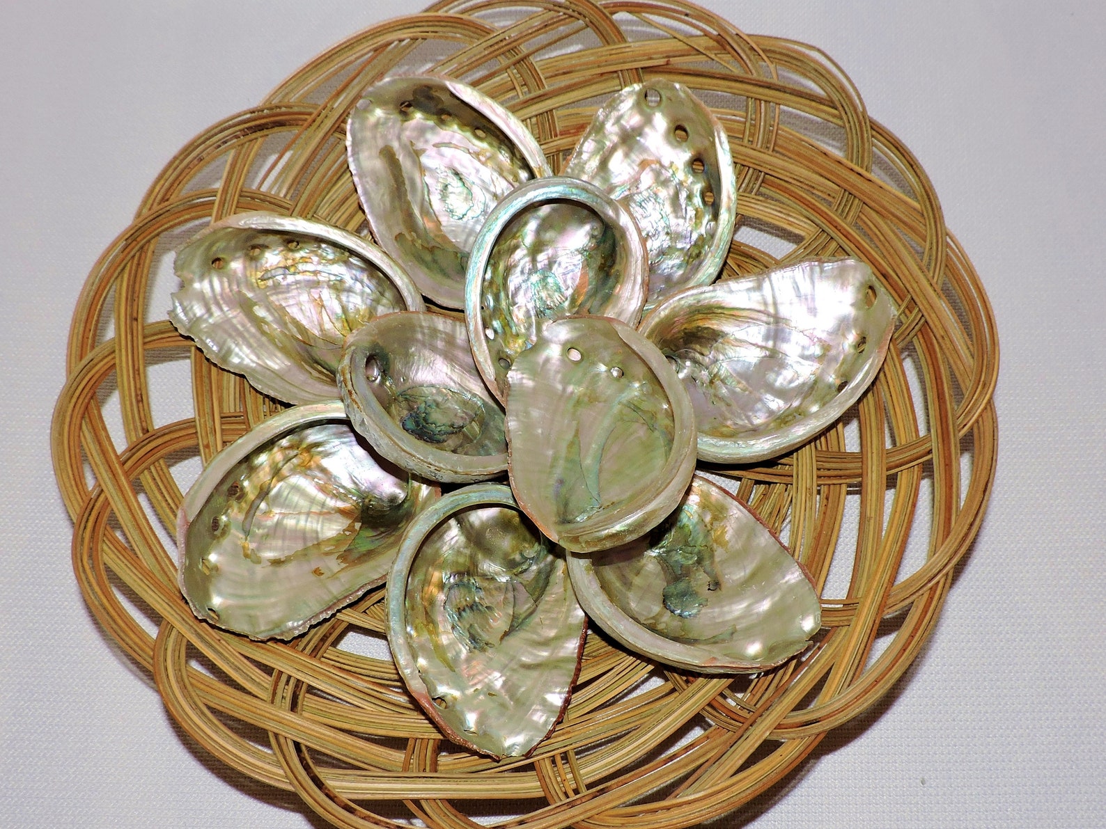 Smudge Kit Smudging Abalone Shell House Blessing Cleansing Housewarming ...