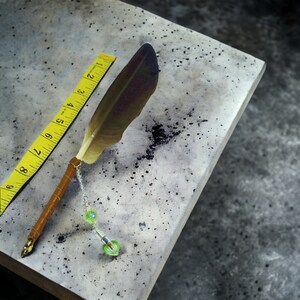 Goose Feather Quill Dip Pen Calligraphy Spell-writing Book of Shadows ...